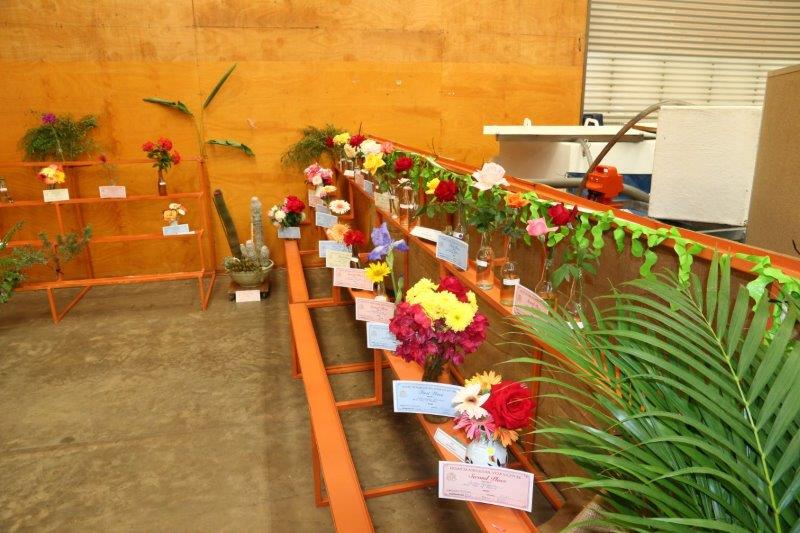 Mount Isa Show 2016 (5) – MOUNT ISA SHOW