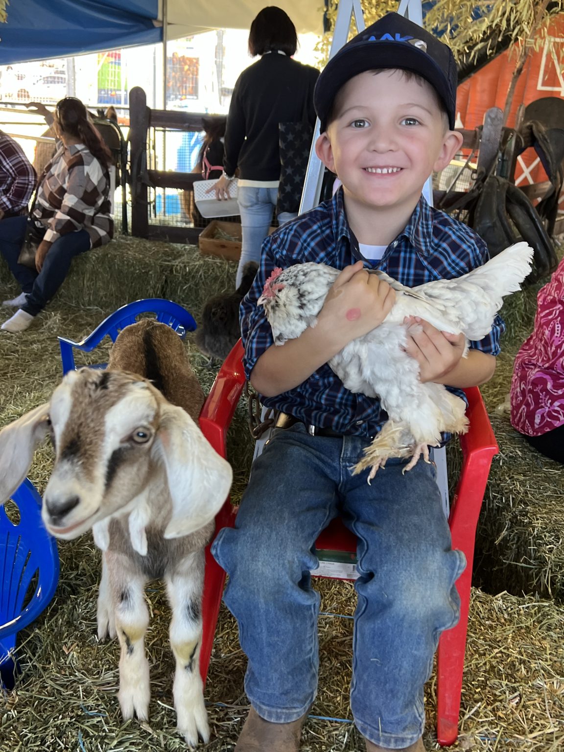 PROGRAM & EVENTS… 2026 will be available soon! – MOUNT ISA SHOW